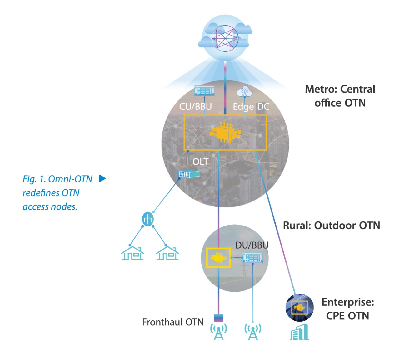 Omni-OTN Accelerates Growth of All-Optical MAN